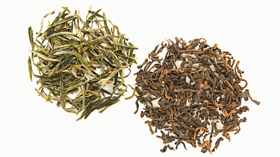 Tea Revives the World | The GS Haly Company